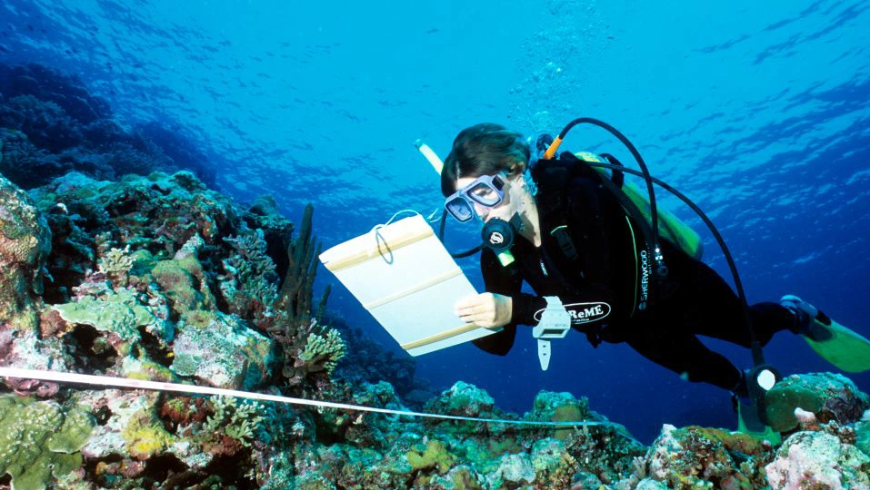 Autonomous robot maps hidden coral reef biodiversity hotspots