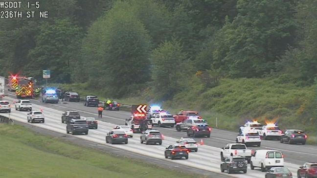 Driver arrested, dogs missing after Arlington road rage crash, alleged ...