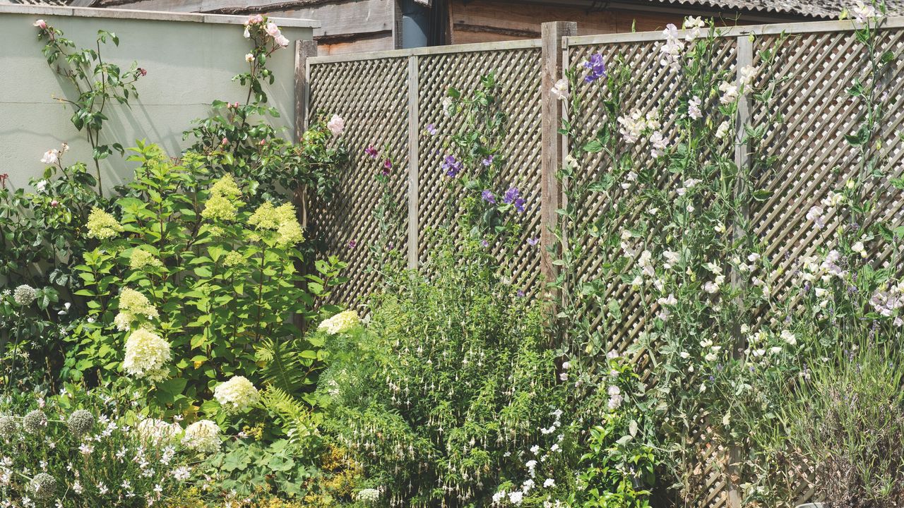 Aldi’s clever £23 planter taps into one of this year’s biggest garden ...