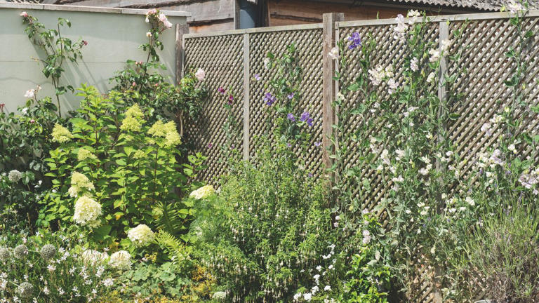 Aldi’s clever £23 planter taps into one of this year’s biggest garden ...