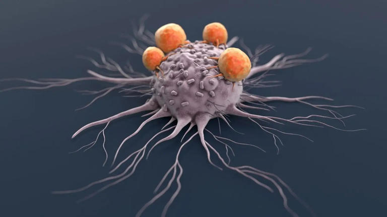 Starving cancer or starving the body? The hidden risk behind extreme no ...