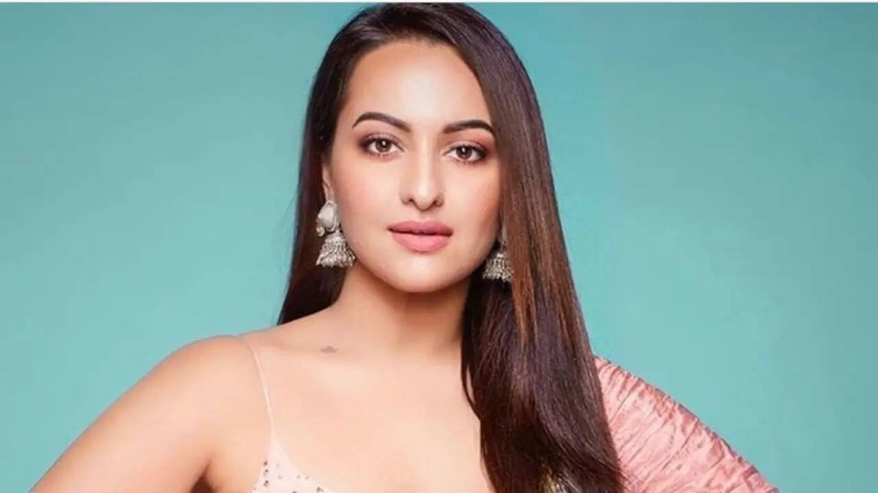 'My entire 20s went into work': 'System' actress Sonakshi Sinha reveals ...