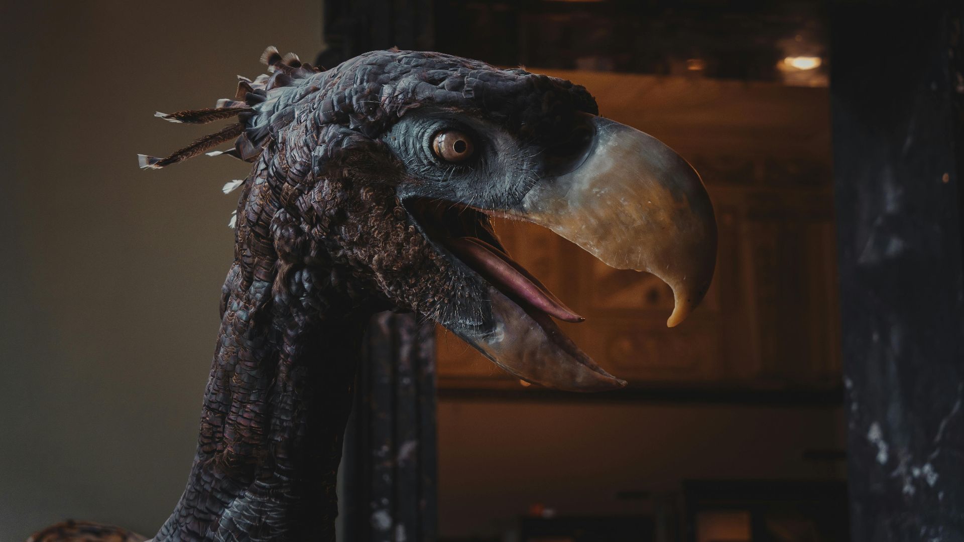 10 animals humans ate into extinction & 10 we nearly lost