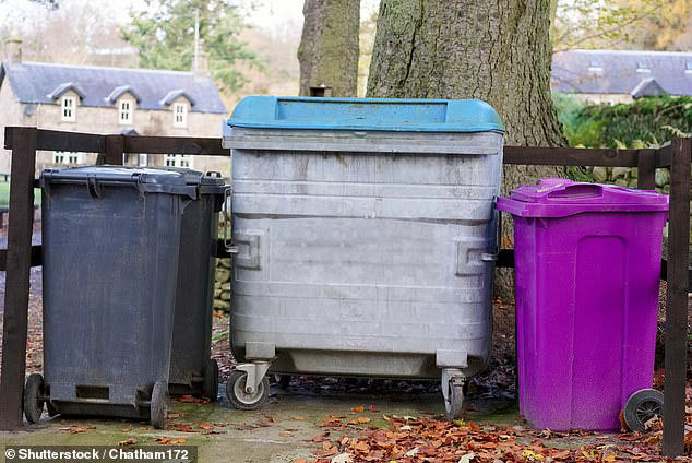 Can my neighbour legally keep a double bin that binmen left at their ...
