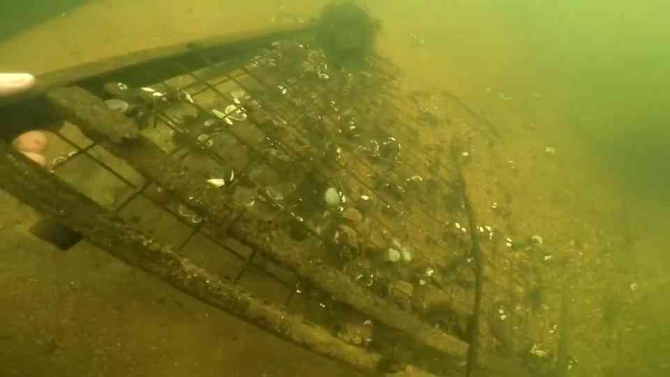 Why there are so many laptops in this river