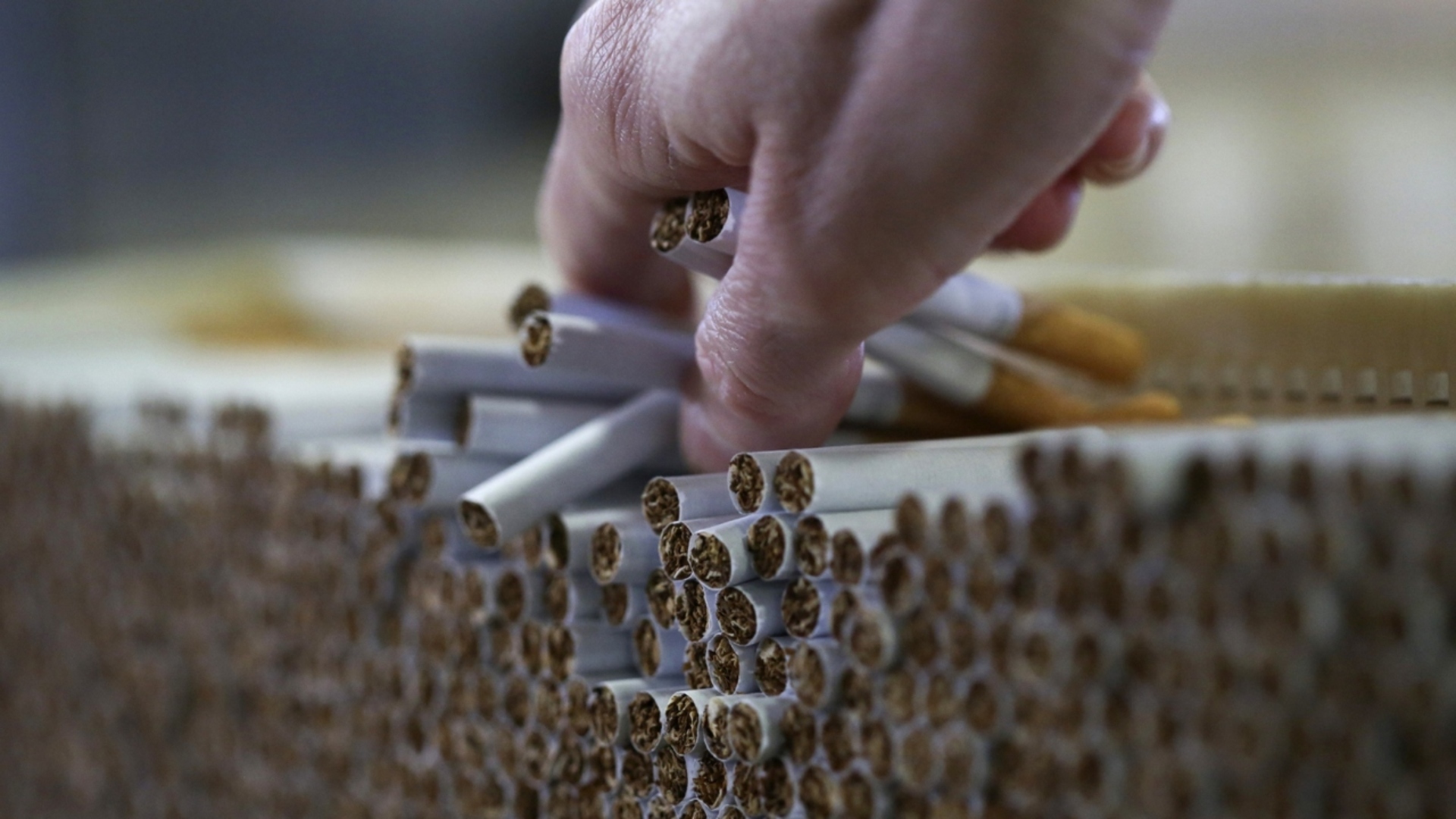 Illicit tobacco market promotes crime and violence as NSW allocates ...