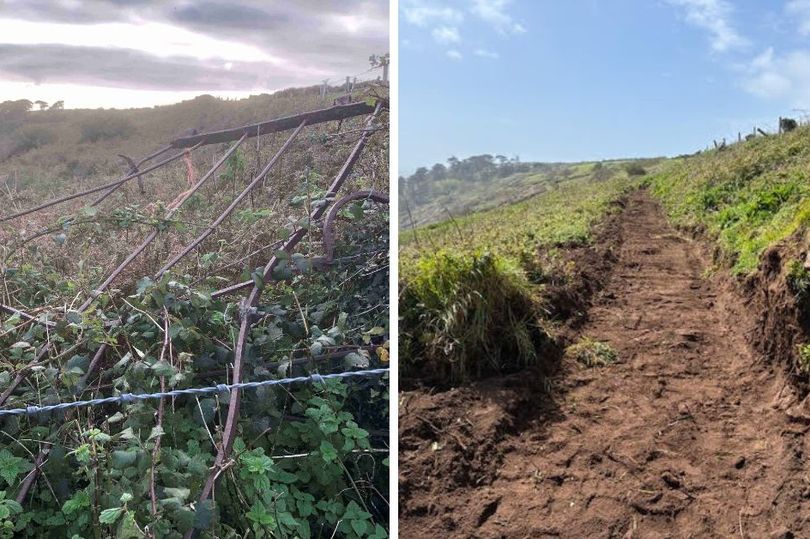'Lost' beauty spot Cornish footpath reopens after 70 years