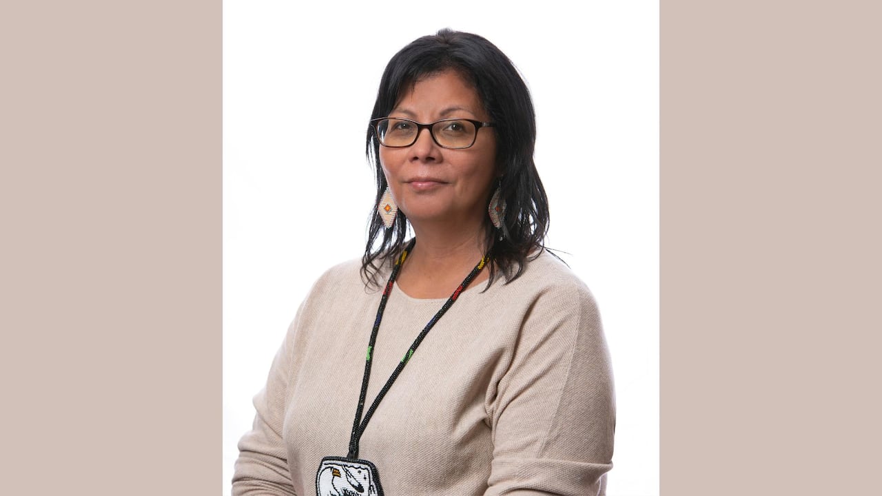 Pair of First Nations in northwestern Ontario declare joint state of ...
