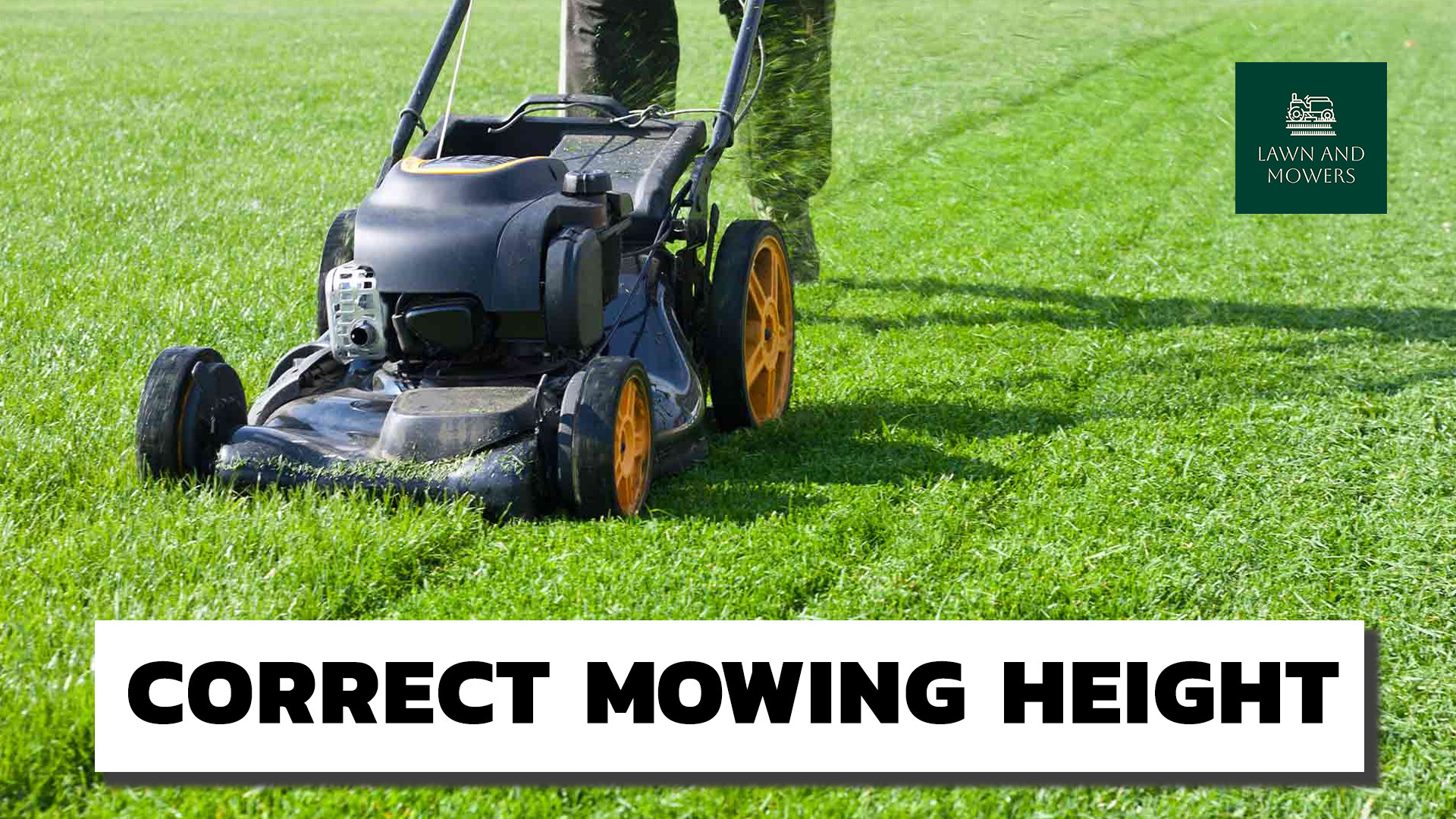 What really happens when you mow wet grass after spring rain