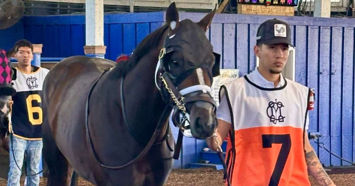 Tragedy strikes Preakness Stakes weekend after racehorse Hit Zero dies ...
