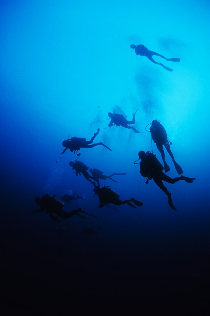 Maldive: individuati i corpi dei quattro sub italiani dispersi. Oggi e ...