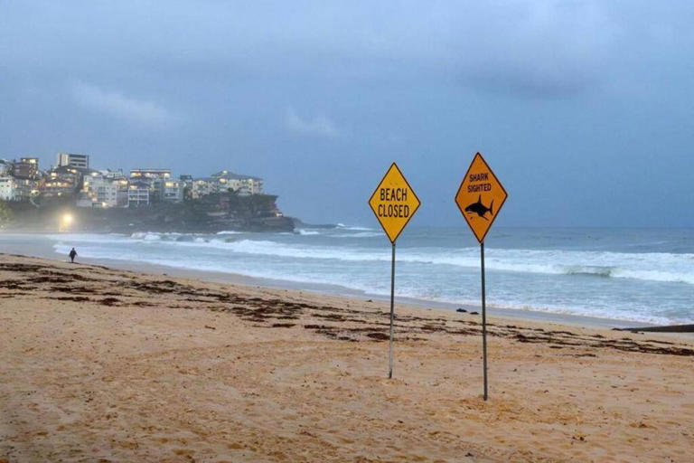 Australia, uomo muore dopo attacco di squalo al largo di Perth