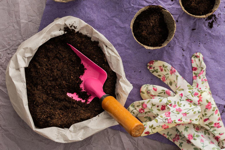 We asked a plant pro if you should mix used potting soil with fresh ...