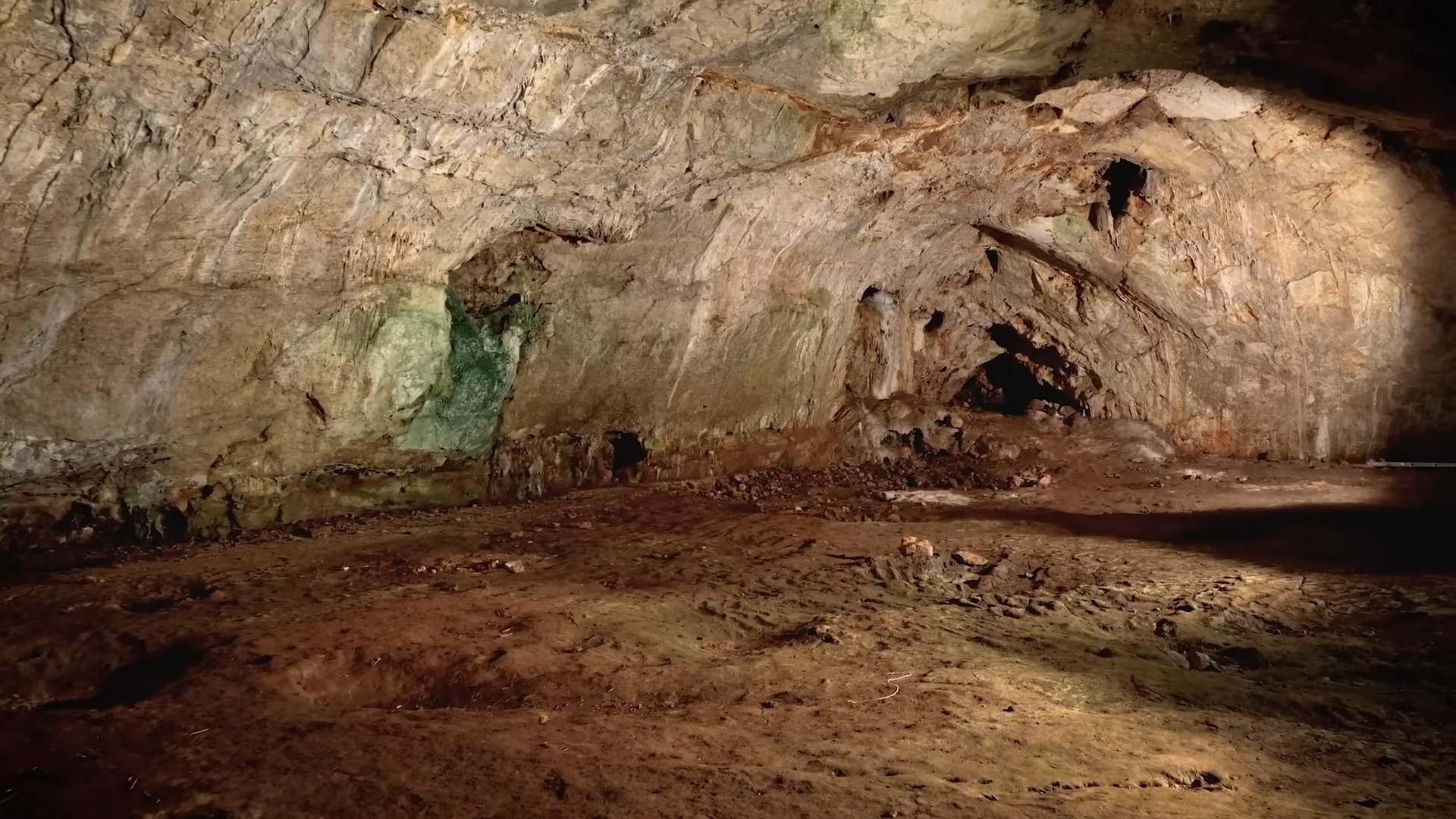 What life in caves reveals about evolution
