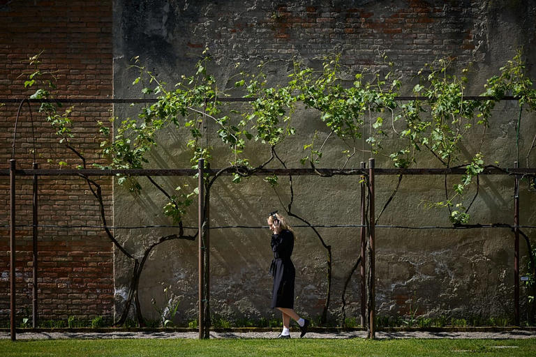 Baby dolls, whale songs and swimming in urine: The Venice Biennale’s ...