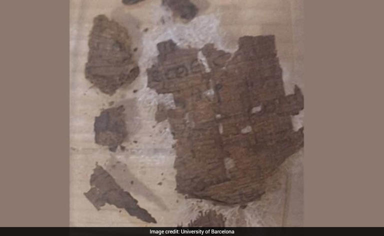 2,000-year-old Egyptian mummy found with ancient Greek war poem: Report