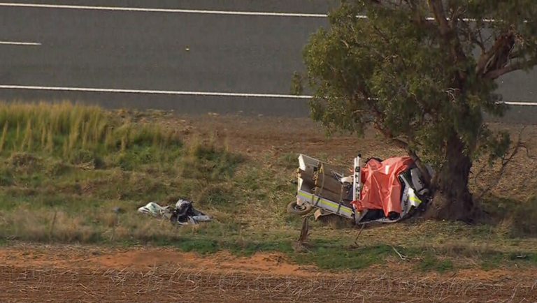 Boy killed, two other teenagers fighting for life after ute hits tree