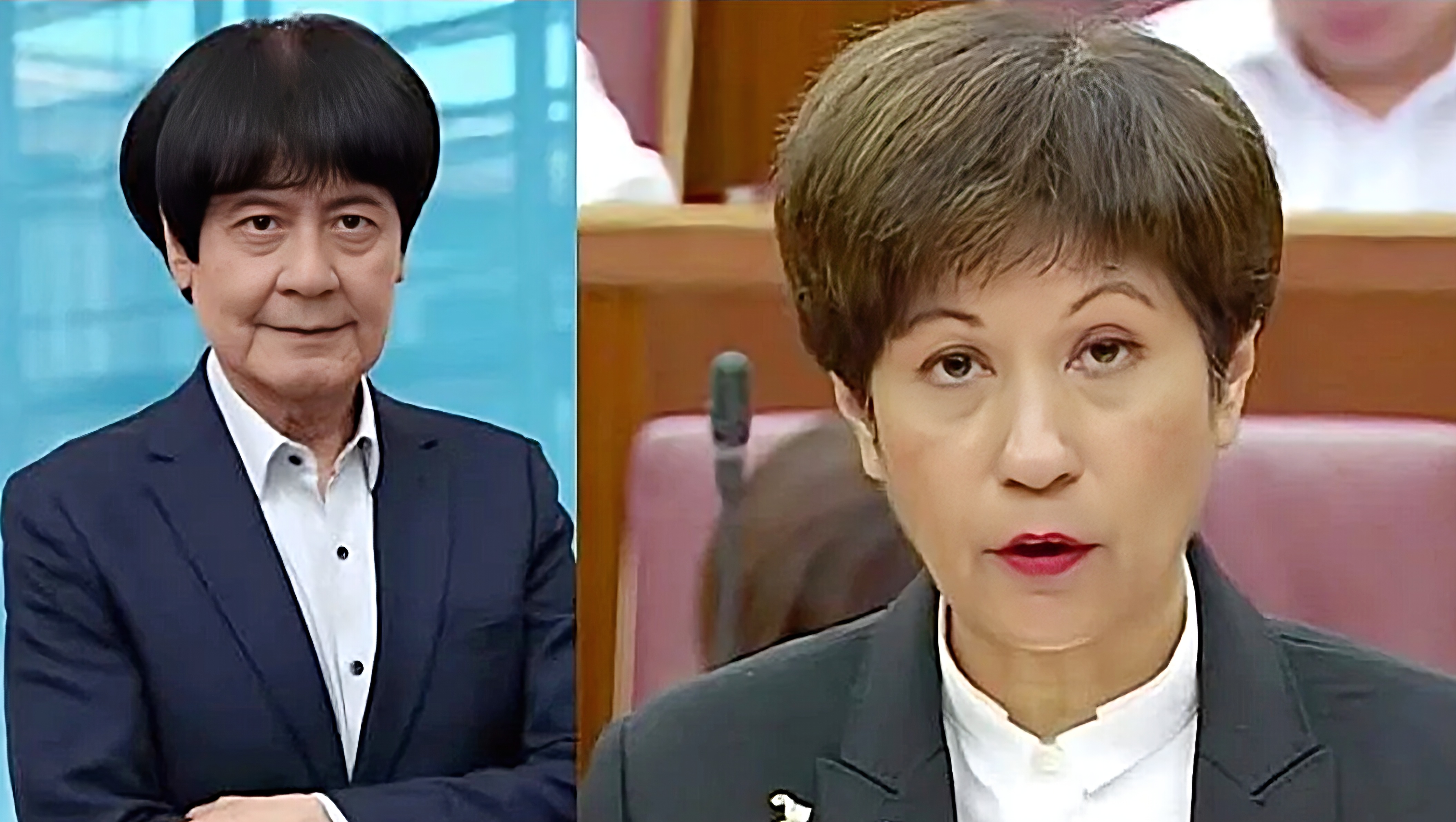 I thought it was Indranee! — Netizens distracted by ex-air force chief ...