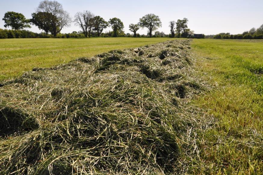 Adapt grass silage making to suit conditions