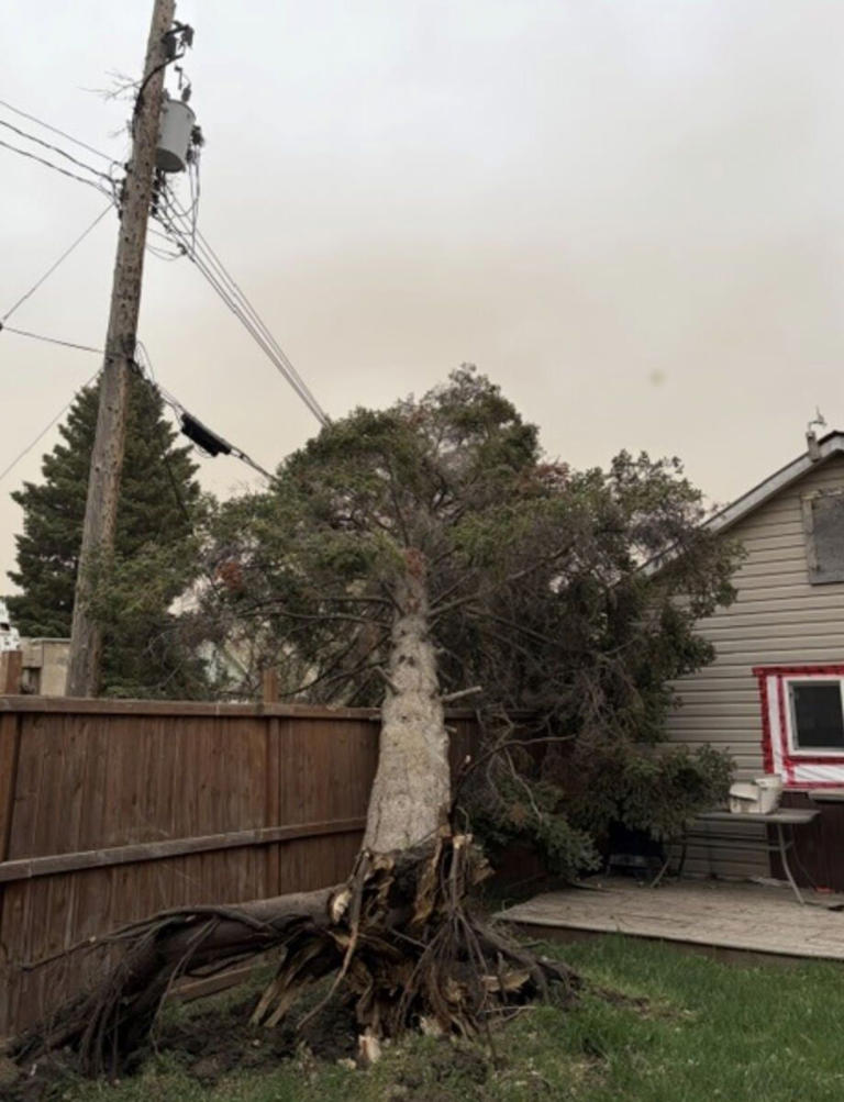 Dust storm and high winds cause power outage in Manitoba