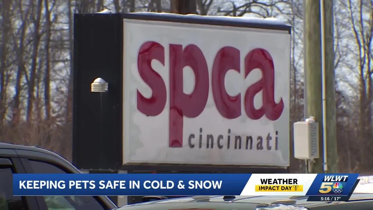 Cold weather poses challenges for pets and shelters in Hamilton County