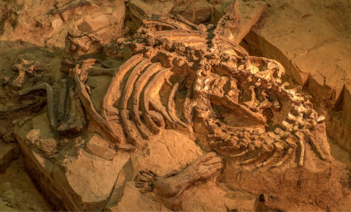 Scientists dig up a 90-foot giant dinosaur in Thailand that could crush ...