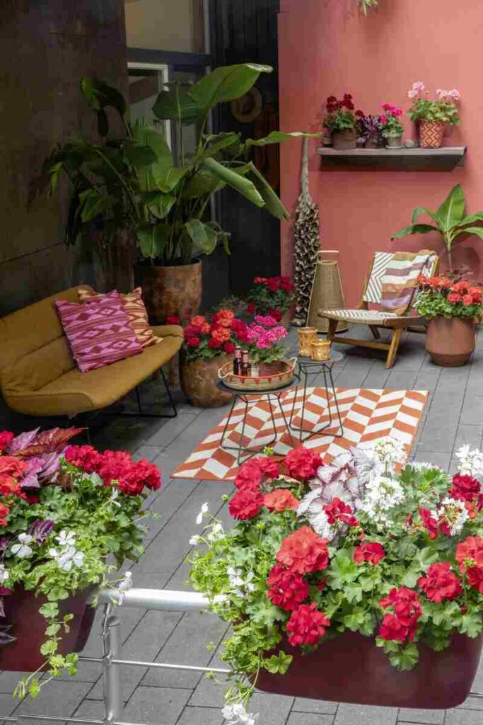 Il segreto per un balcone sempre fiorito? Queste piante