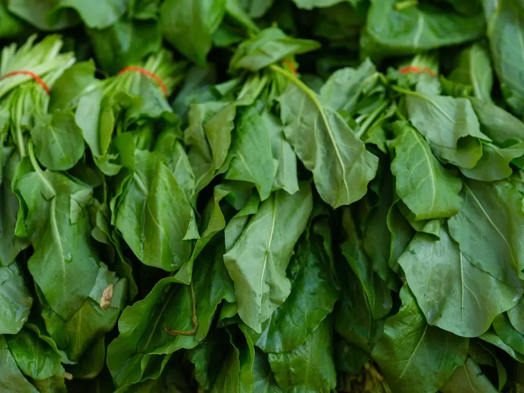 10 fruits and vegetables you should always buy organic