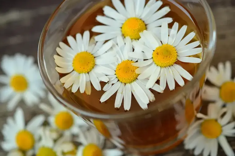 Tea time truth: 6 things choosing herbal over black tea reveals about ...