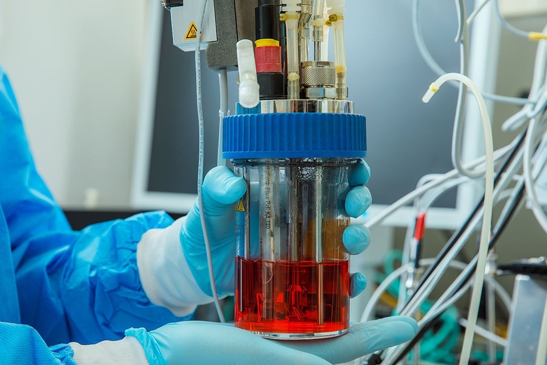 KAUST scientists build nanoscale drug factory inside cellsPublished on ...