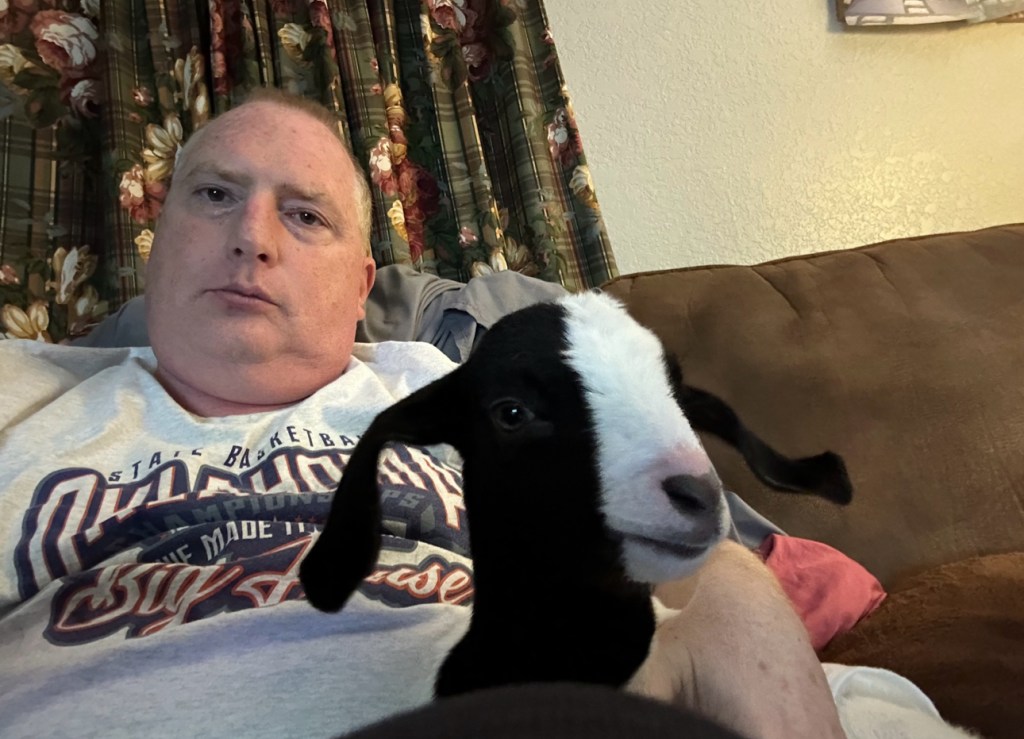 Pet goats save trapped family after killer tornado with winds reaching ...