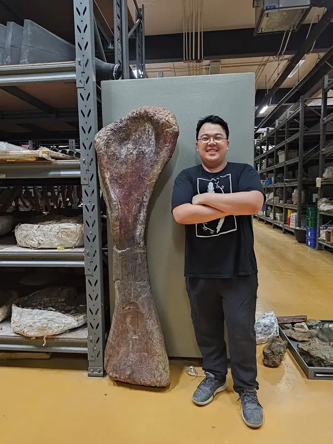 Scientists dig up a 90-foot giant dinosaur in Thailand that could crush ...
