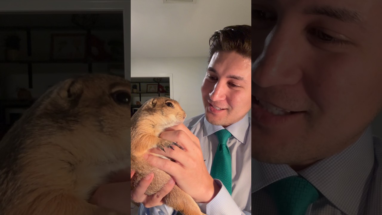 Saturday starts with an excited "wahoo" from this prairie dog