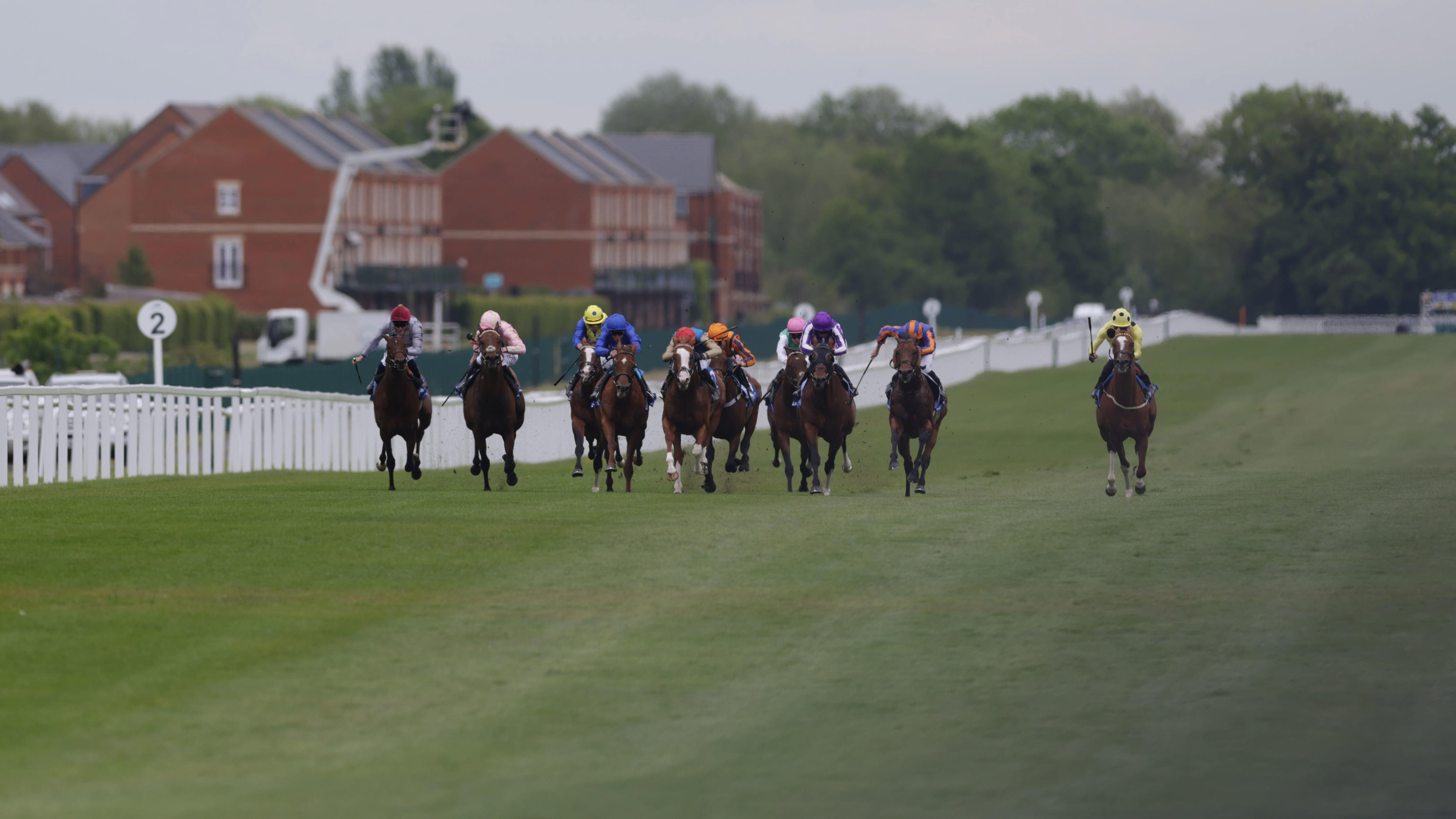 More Thunder set to rematch Notable Speech at Ascot
