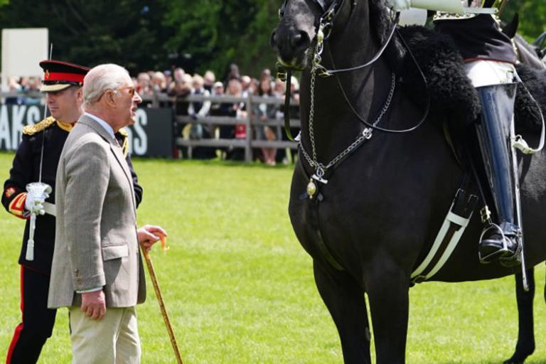 King's Troop soldier dies after fall from horse at Royal Windsor Horse Show