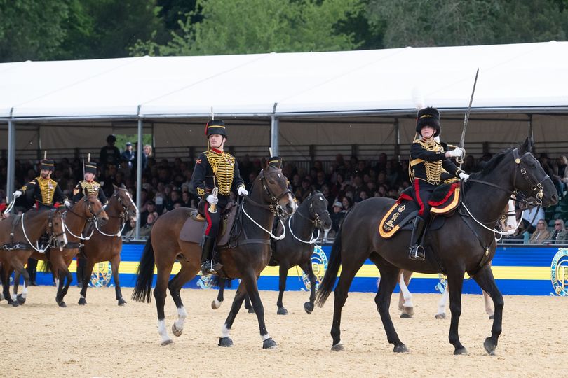 King's Troop soldier dies after fall from horse at Royal Windsor Horse Show