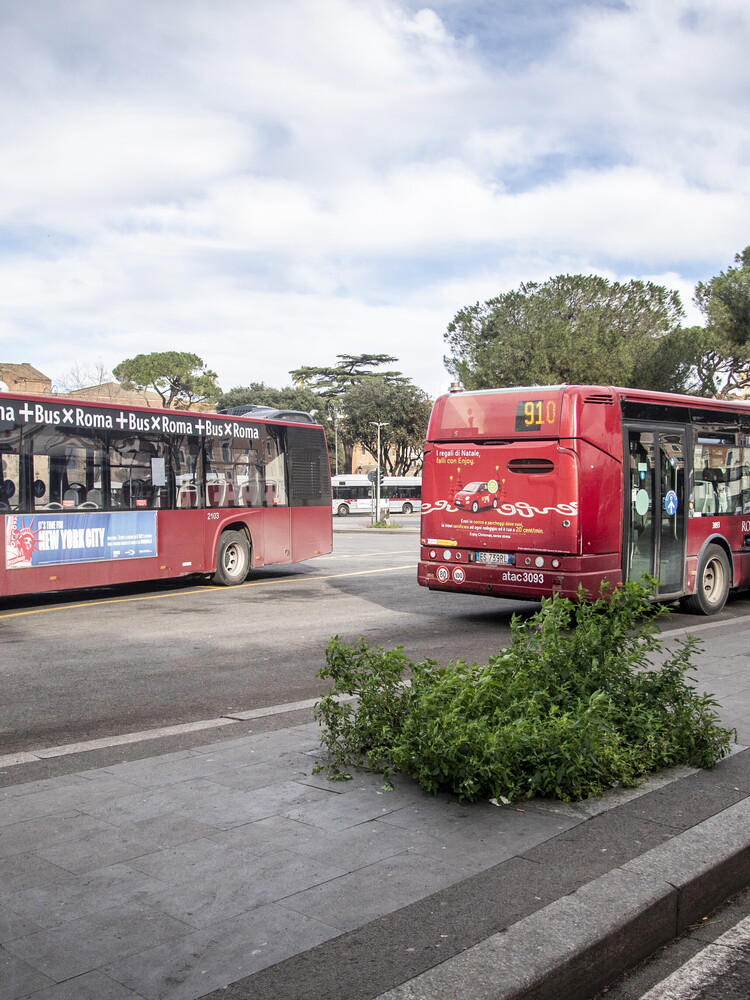 Boeri trasforma una rimessa dell'Atac a Roma in una corte verde con bosco