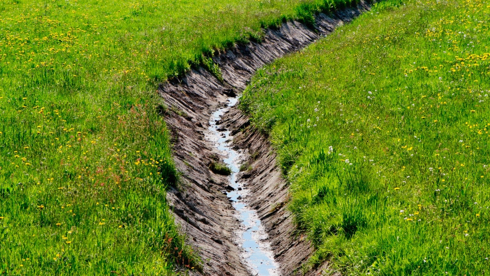 Smart sump pump tips every homeowner should know