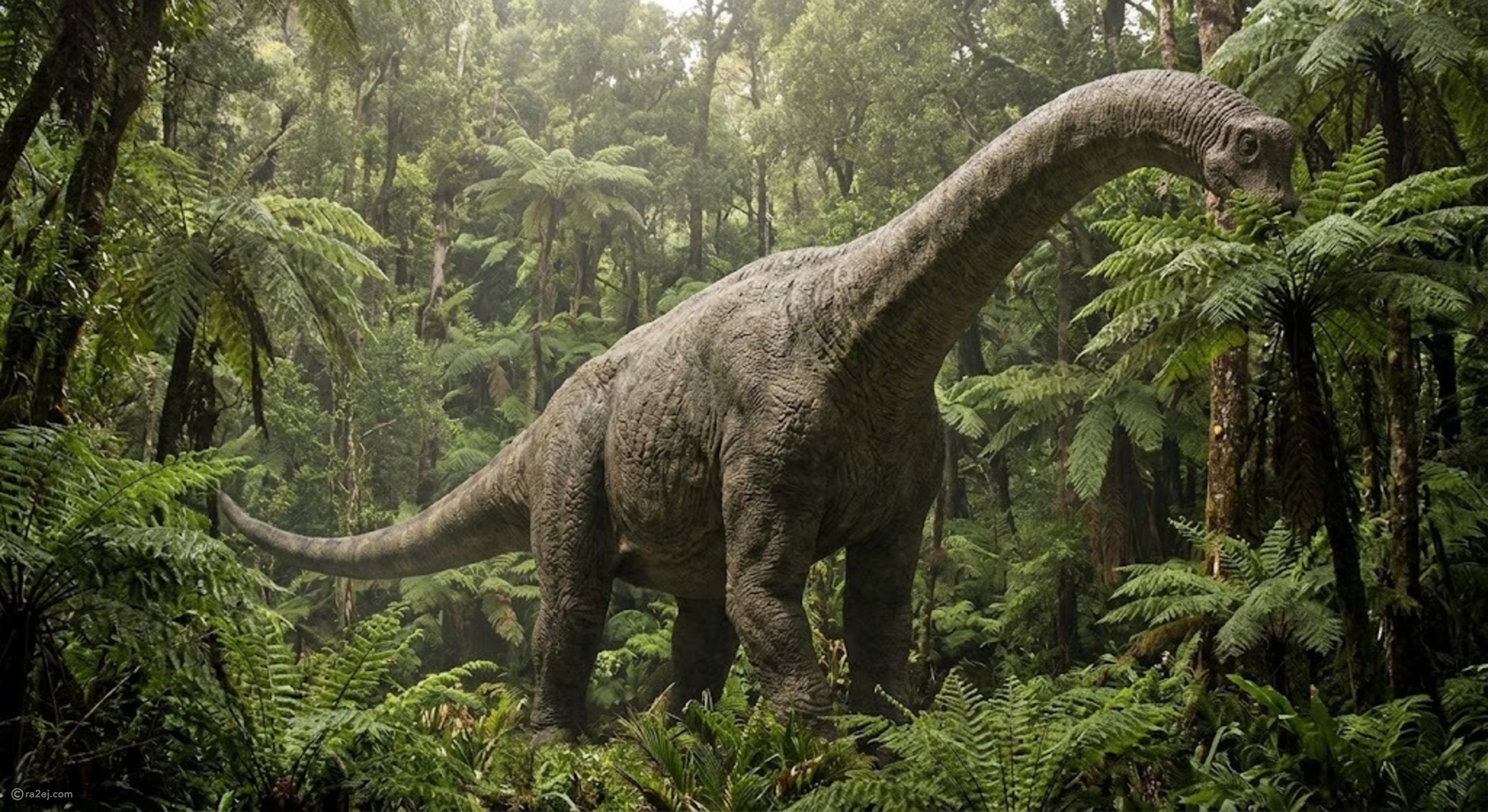 A new dinosaur has been found weighing as much as 9 elephants