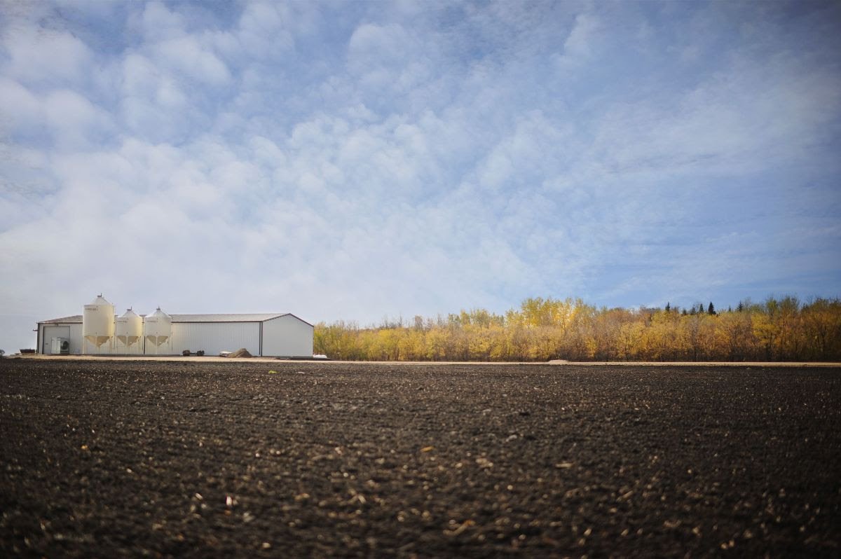 From seed to sip: The whiskey that starts in the ground