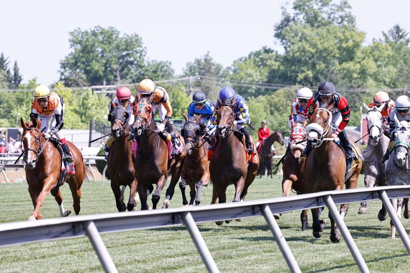 Preakness Stakes 2026: How to watch, post time, TV channel and odds