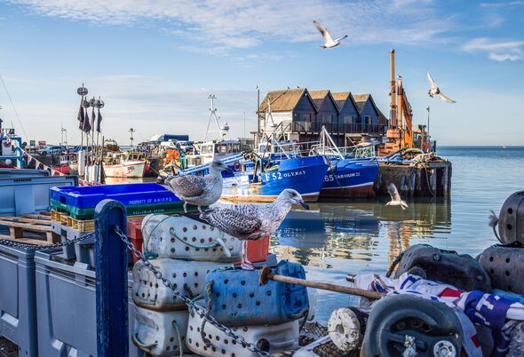 The pretty seaside town as good as Brighton but less famous