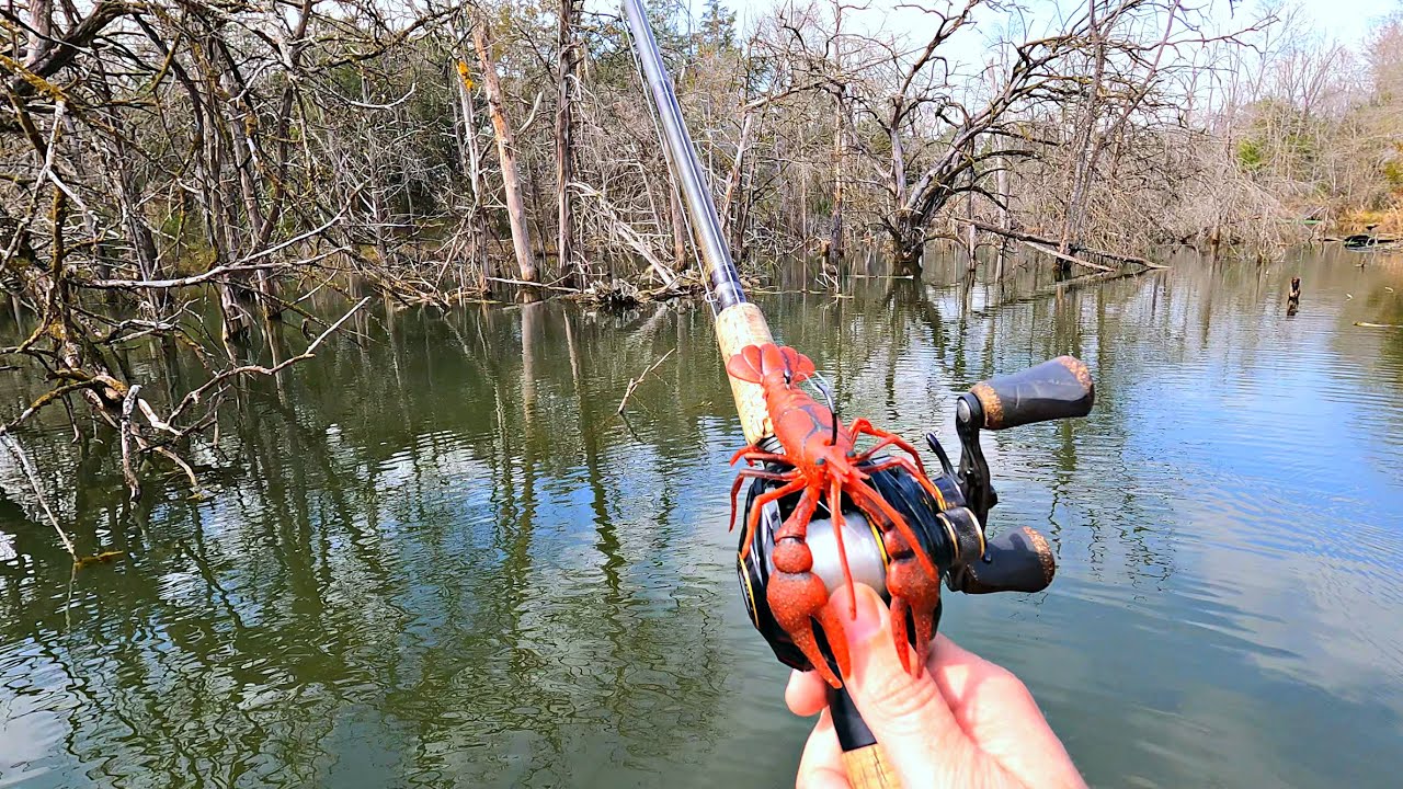 Bass love crawfish!