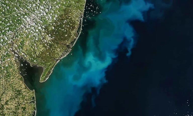 NASA spots massive blue-green bloom swirling off the US East Coast ...
