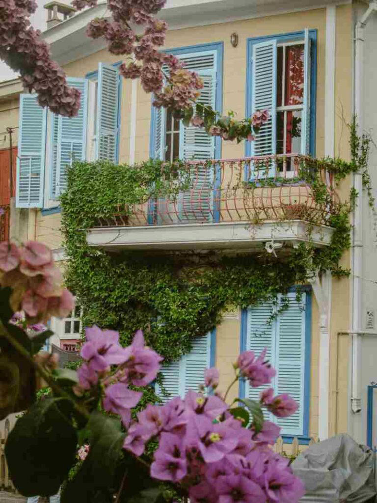 Il segreto per un balcone sempre fiorito? Queste piante