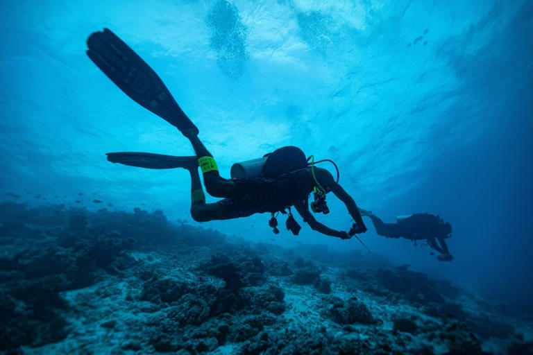 Last words of Italian marine biologist who died in Maldives scuba ...