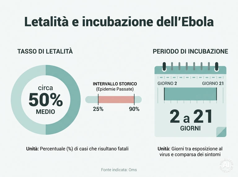 Ebola, nuova epidemia: 80 morti. Allarme in una regione del Congo e ...