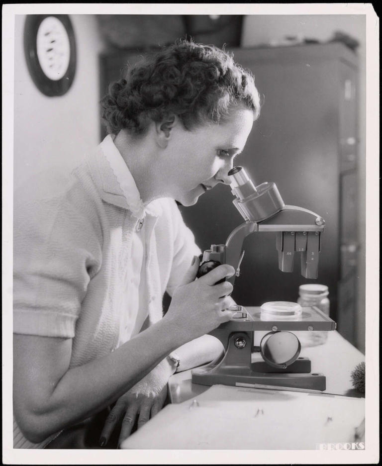 CT Culture Corner: Yale exhibit explores Rachel Carson's environmental ...