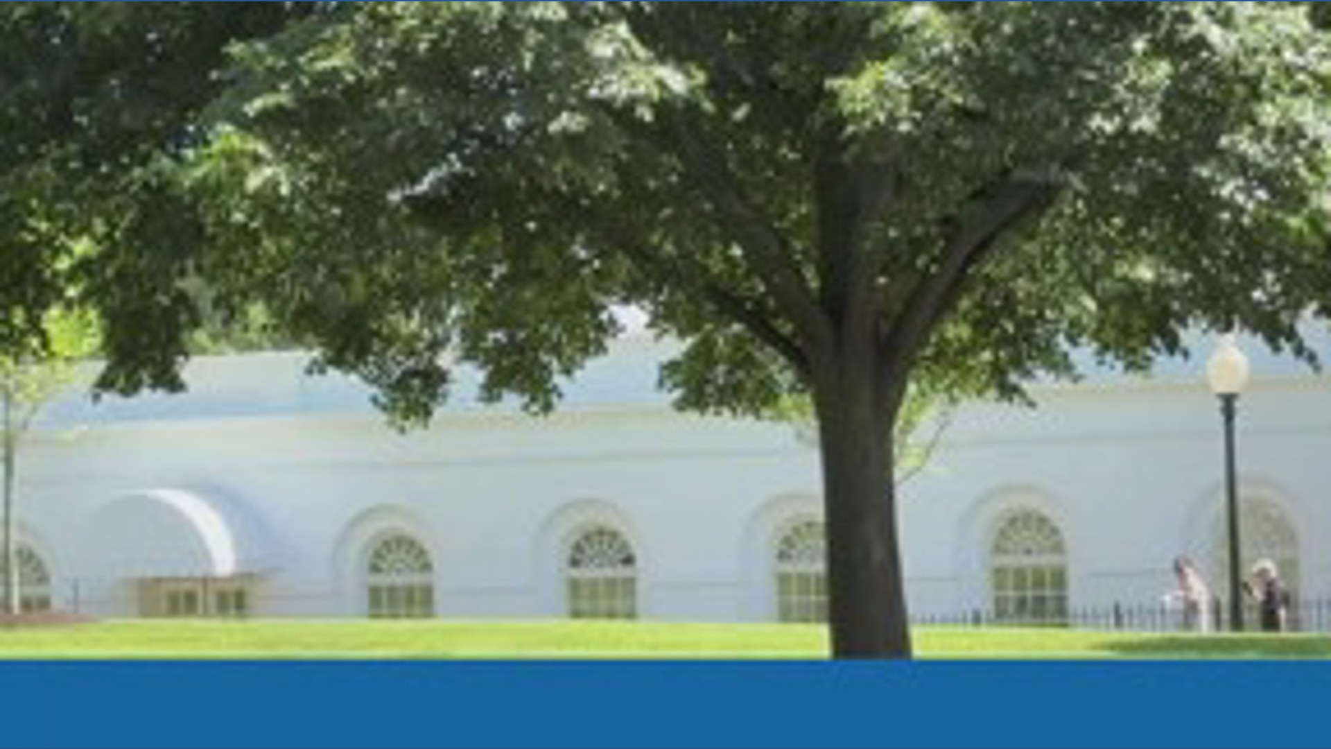 Bees swarm the White House grounds