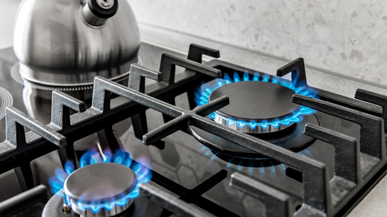 Gas vs electric stove: Which is better for your kitchen?